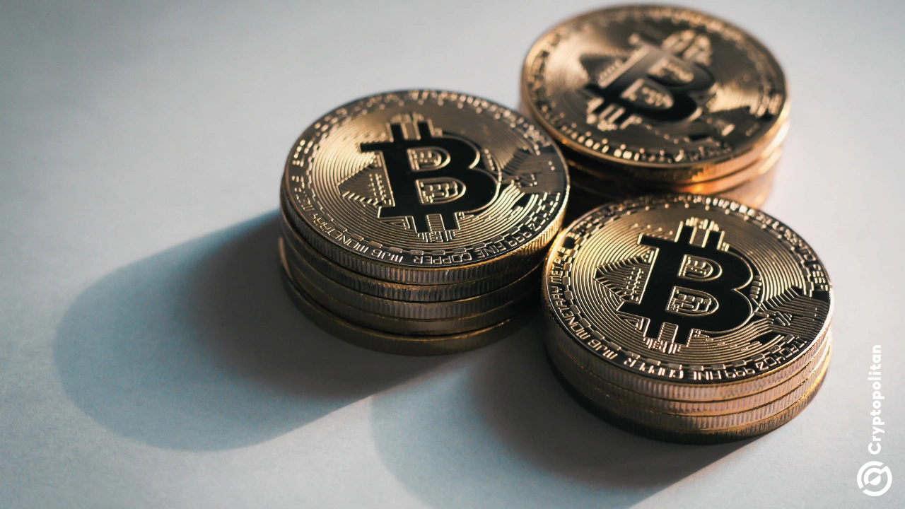 Animoca Brands, DDC Enterprise take first steps toward $100M BTC treasury plan