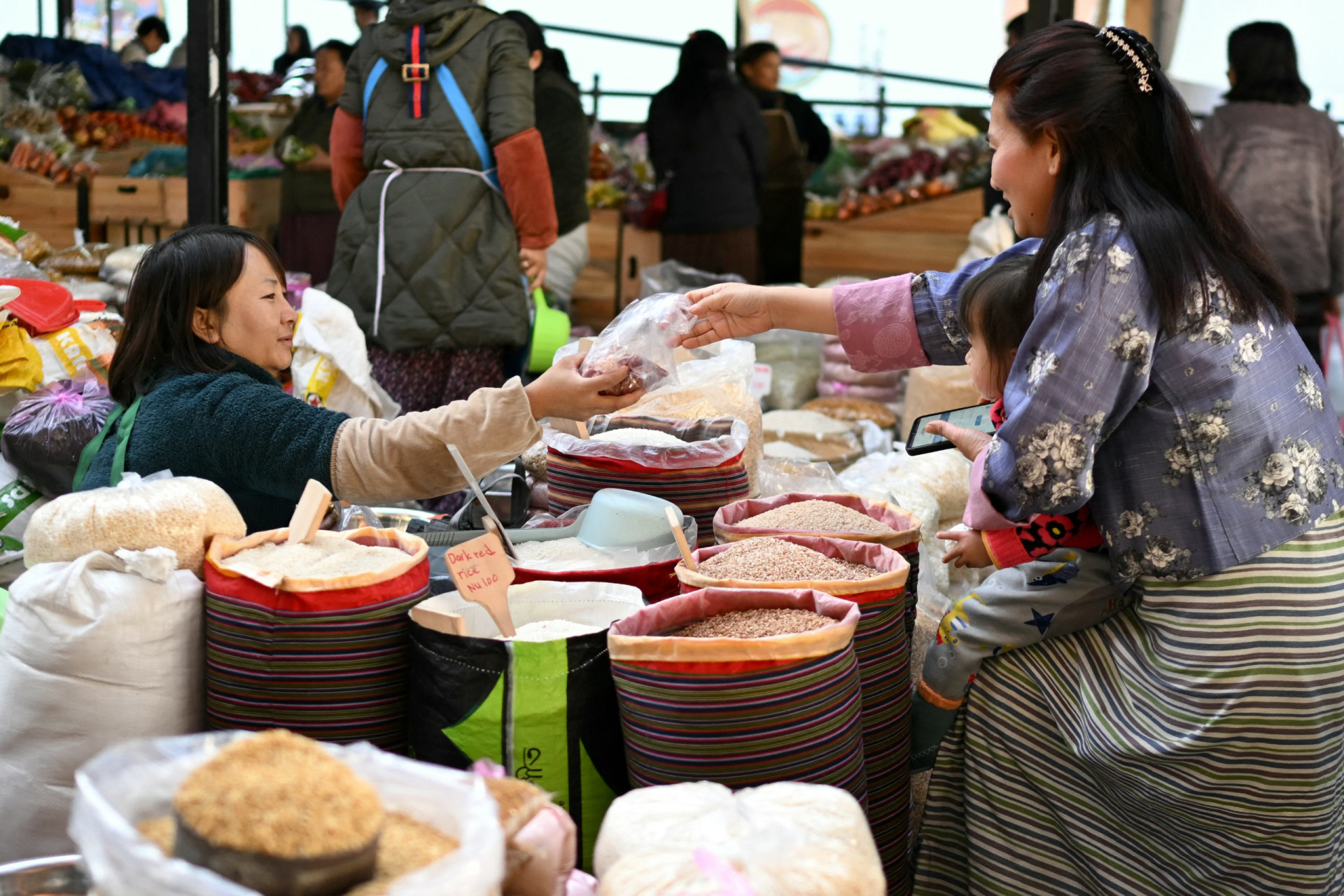 Unique economies that work surprisingly well