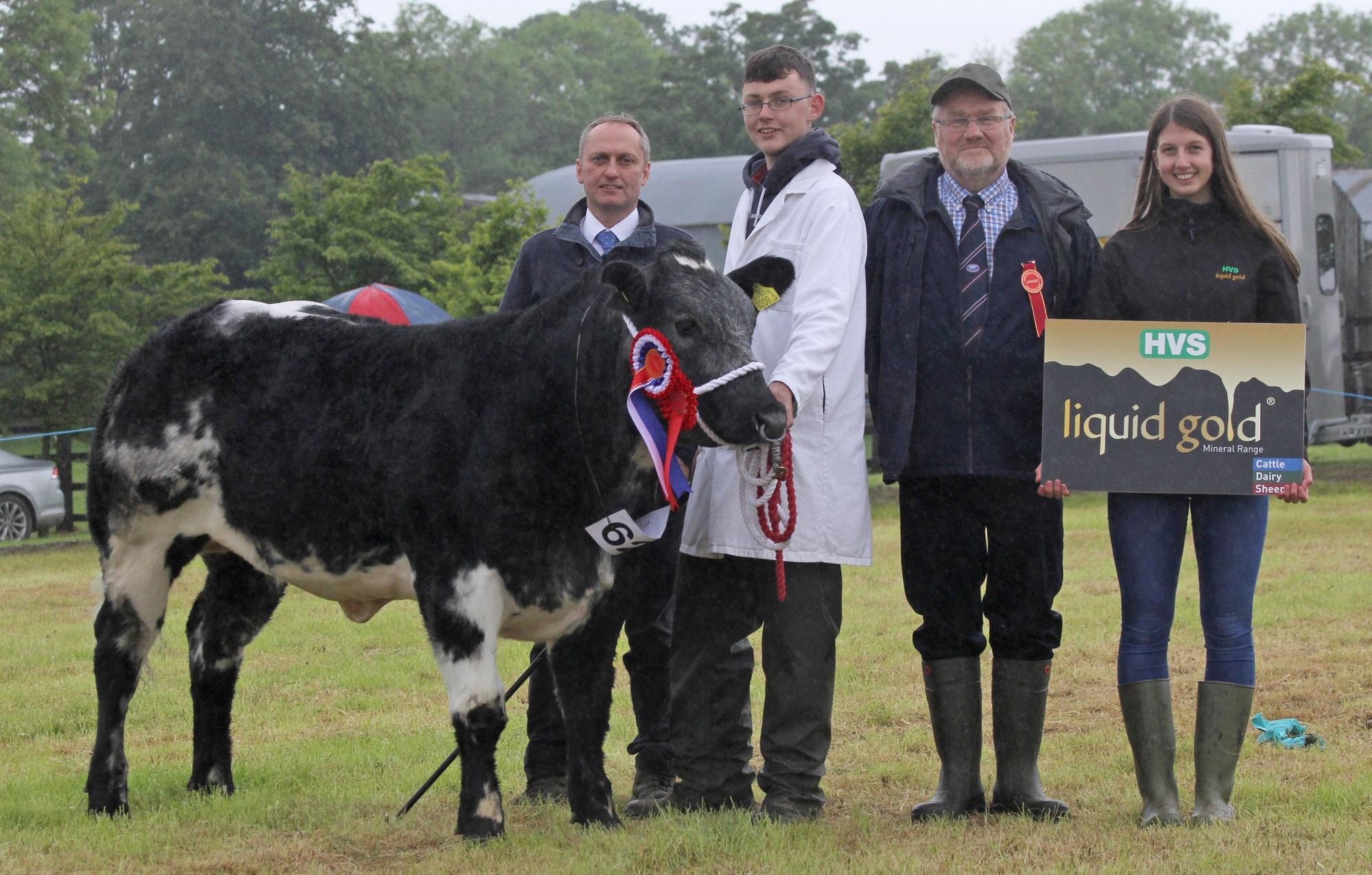20 old photographs from the Saintfield Show down through the years