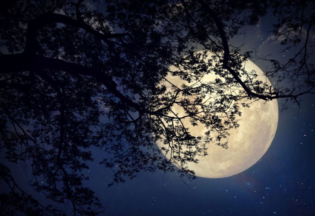 Moonlight and meaning: The folklore behind the full moon's many names