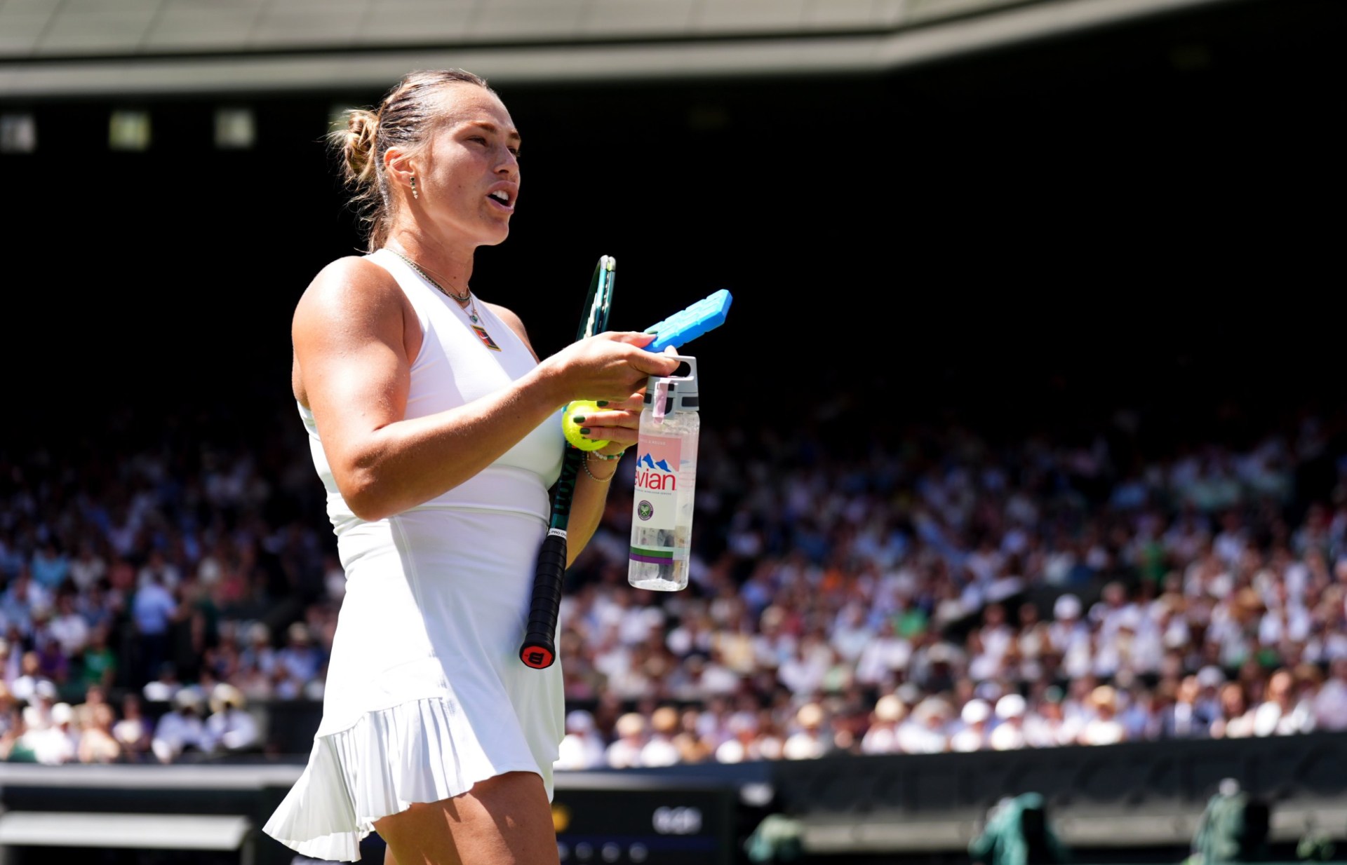 Two fan incidents in Wimbledon semi-final