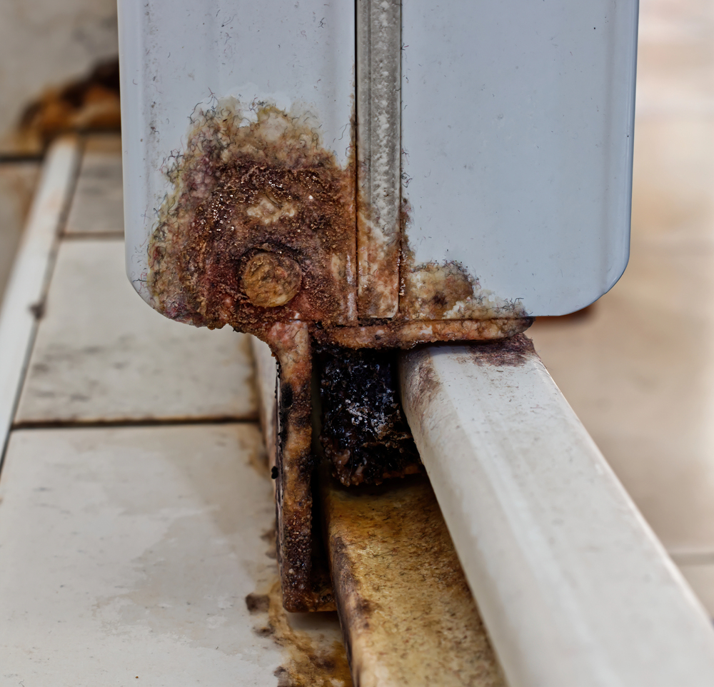 16 Homemade Natural Rust Removers