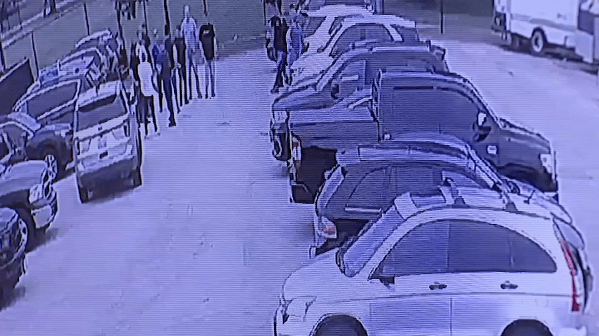 Summer festival organizers concerned amid ICE enforcement efforts