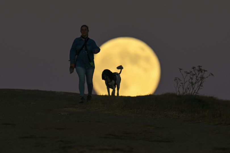 July’s full moon will be rare for 2025 – what to know about the Buck ...