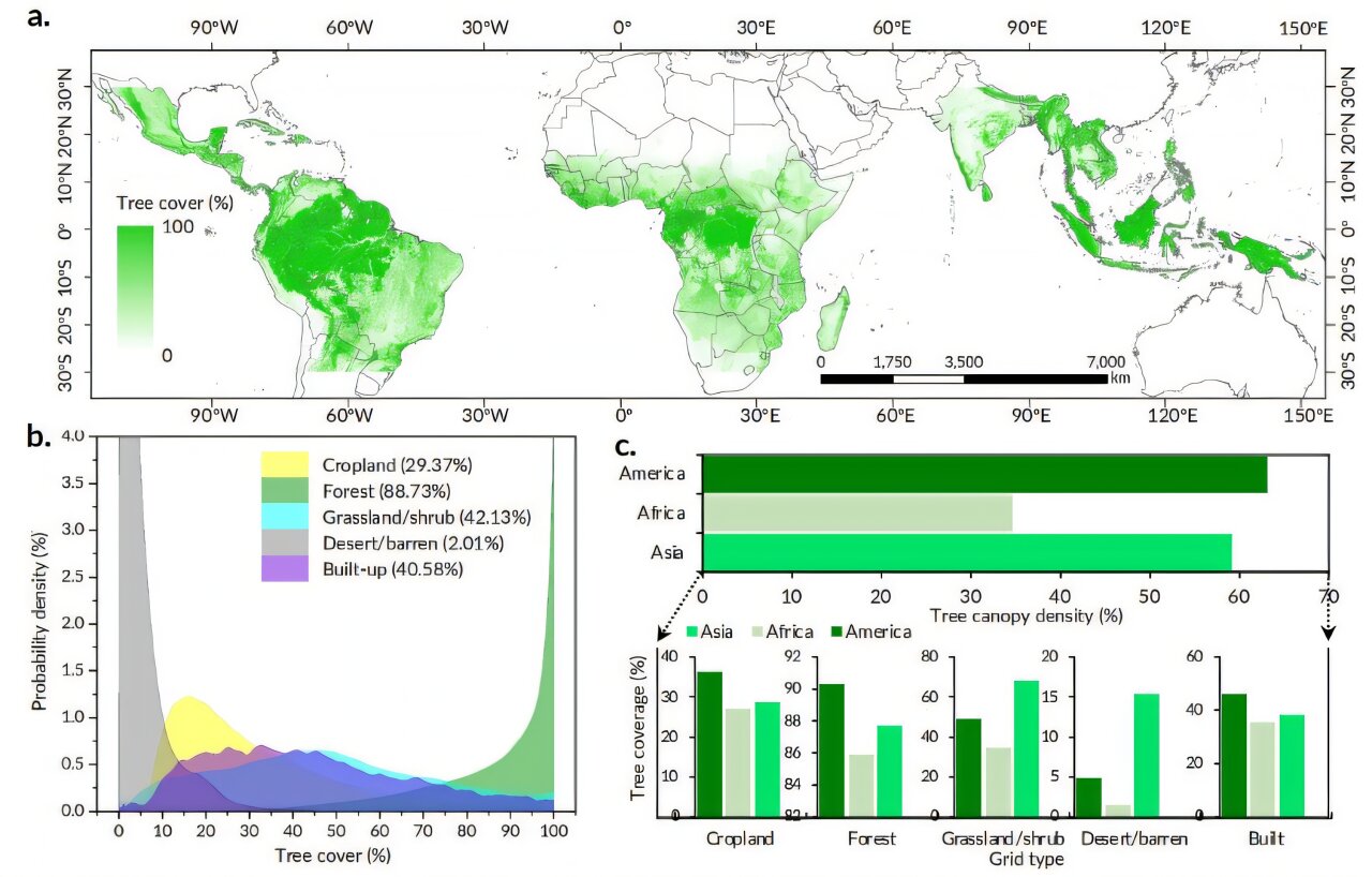 Satellite mapping reveals tropical tree cover losses underestimated by ...
