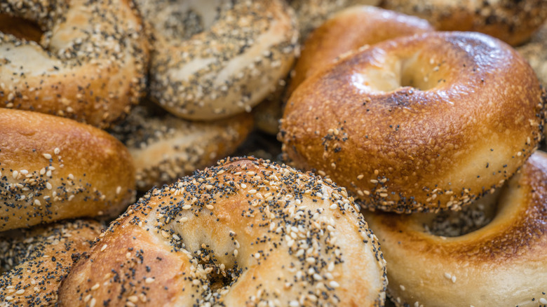 28 Types Of Bagels, Explained