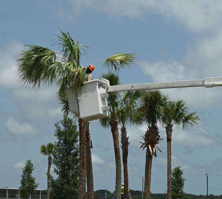 Gulf Shores Airport considers expansion after exceeding passenger ...