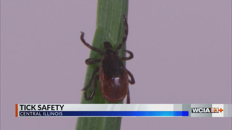 CDC reports record breaking tick-related hospital visits; how to stay ...