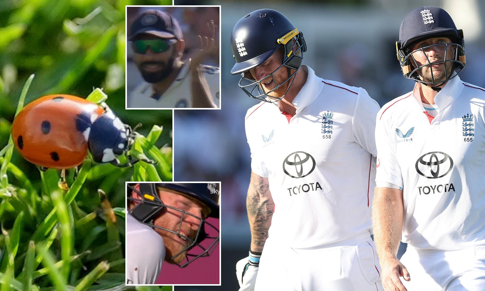 LADYBIRDS stop play! England cricket stars hit by a rare bug attack at ...