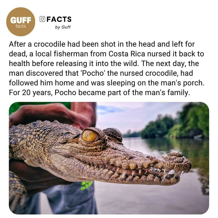 49 Of The Most Interesting Facts About Our World, As Shared By This ...