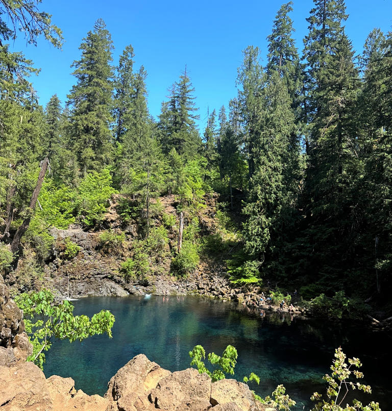 Destination weddings on the McKenzie and accessible trail to Blue Pool