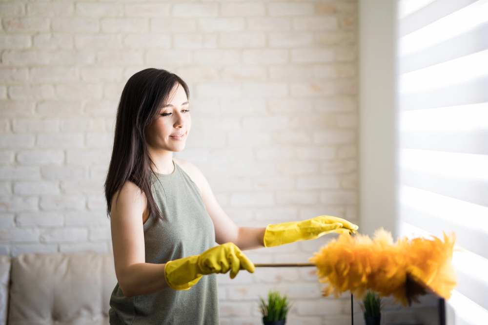 16 One-Hour Cleaning Systems That Work