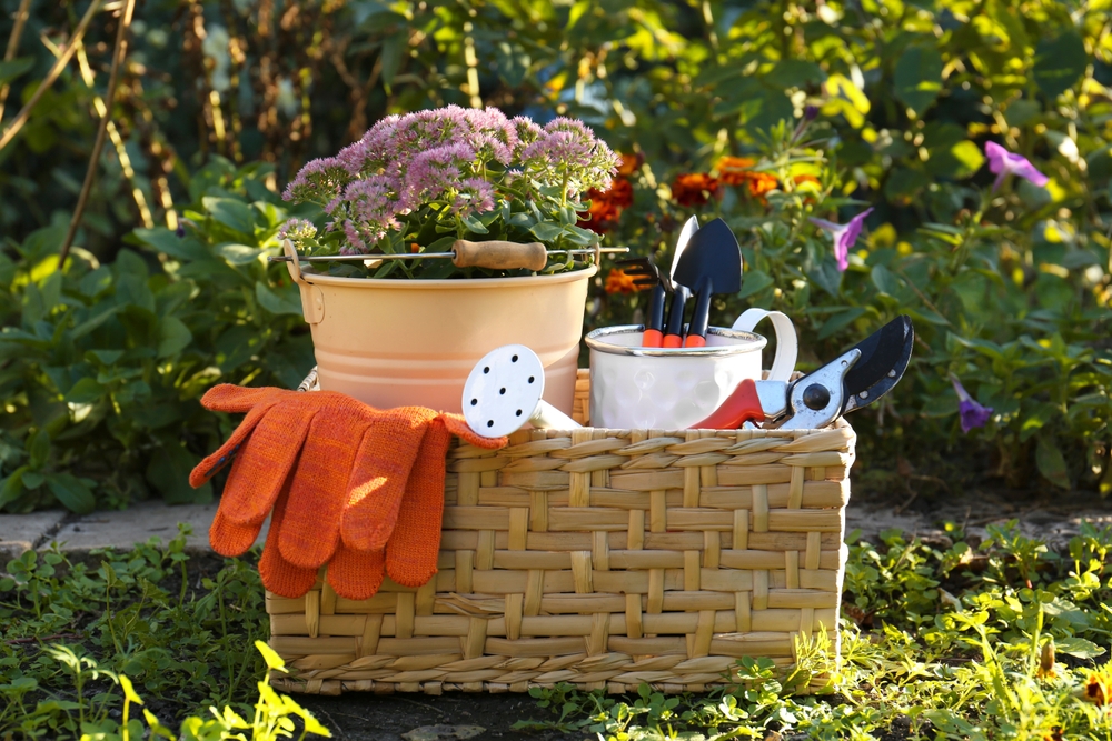 13 Essential Gardening Tools for Growing Vegetables and Fruits