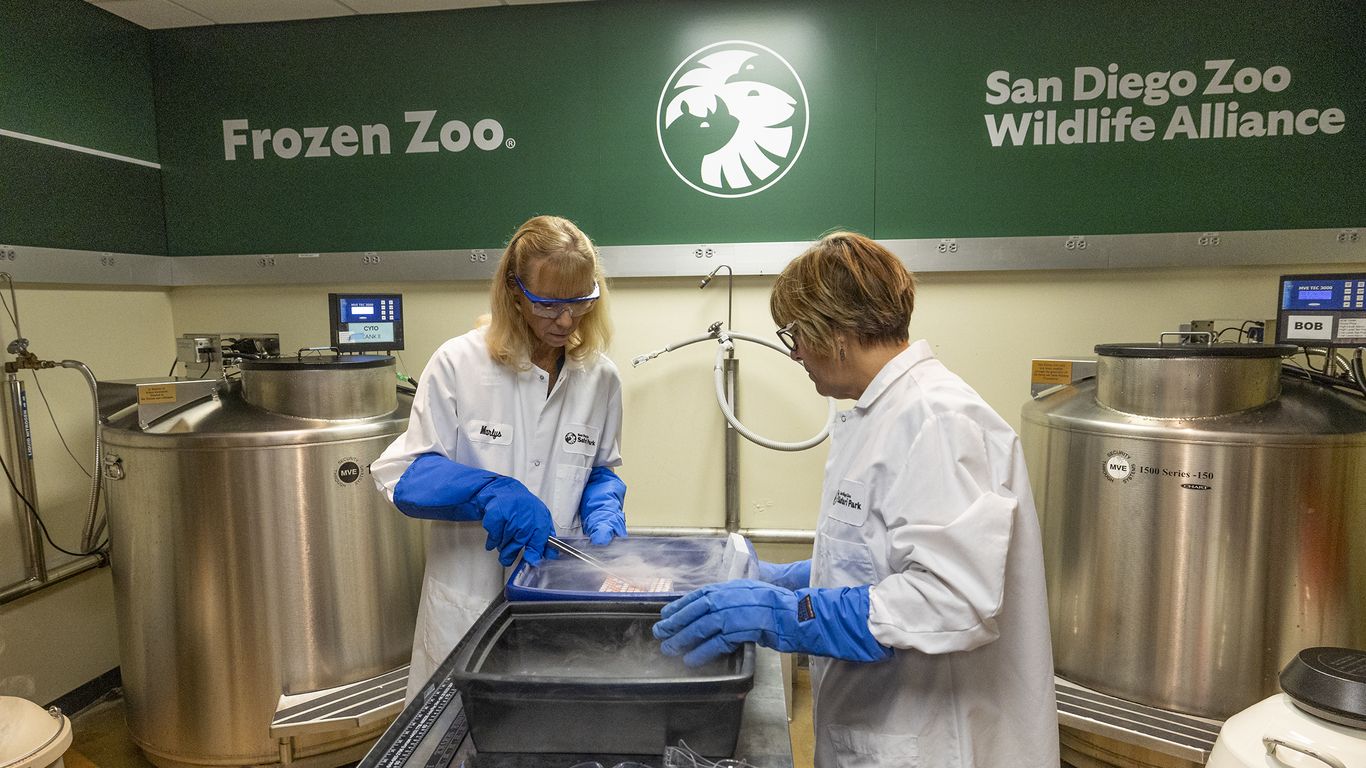 For 50 years, San Diego's Frozen Zoo has stored living cells to save ...