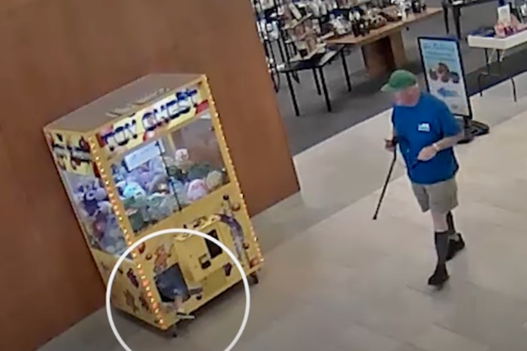 Curious boy climbs into claw machine and has to be rescued by fire ...