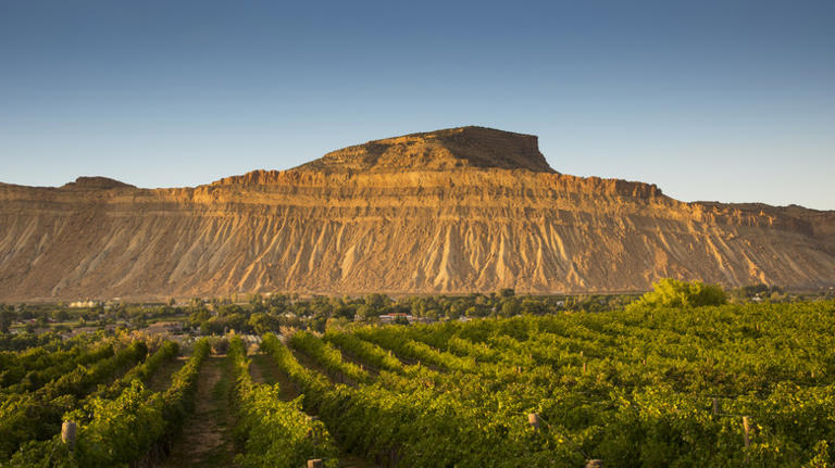 Colorado's Wine Country Road Trip Samples Sweeping Vineyards, Mountain ...