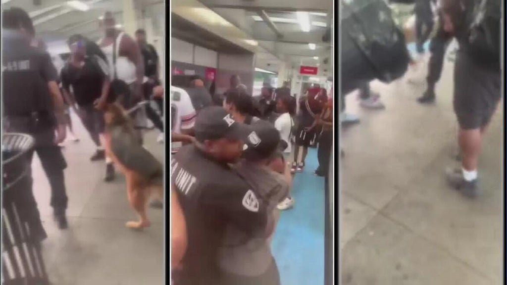 3 arrested after brawl with K9 security team at CTA station on South ...