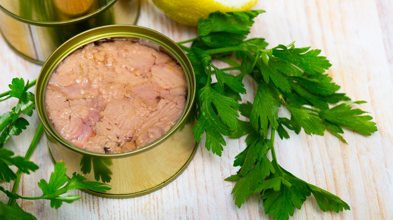 How To Turn A Basic Can Of Tuna Into A Savory Smooth Mousse Dip