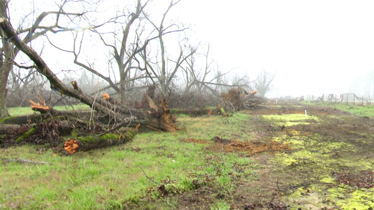 Ga. farmers will get $531M in Helene aid, but deal’s not done yet