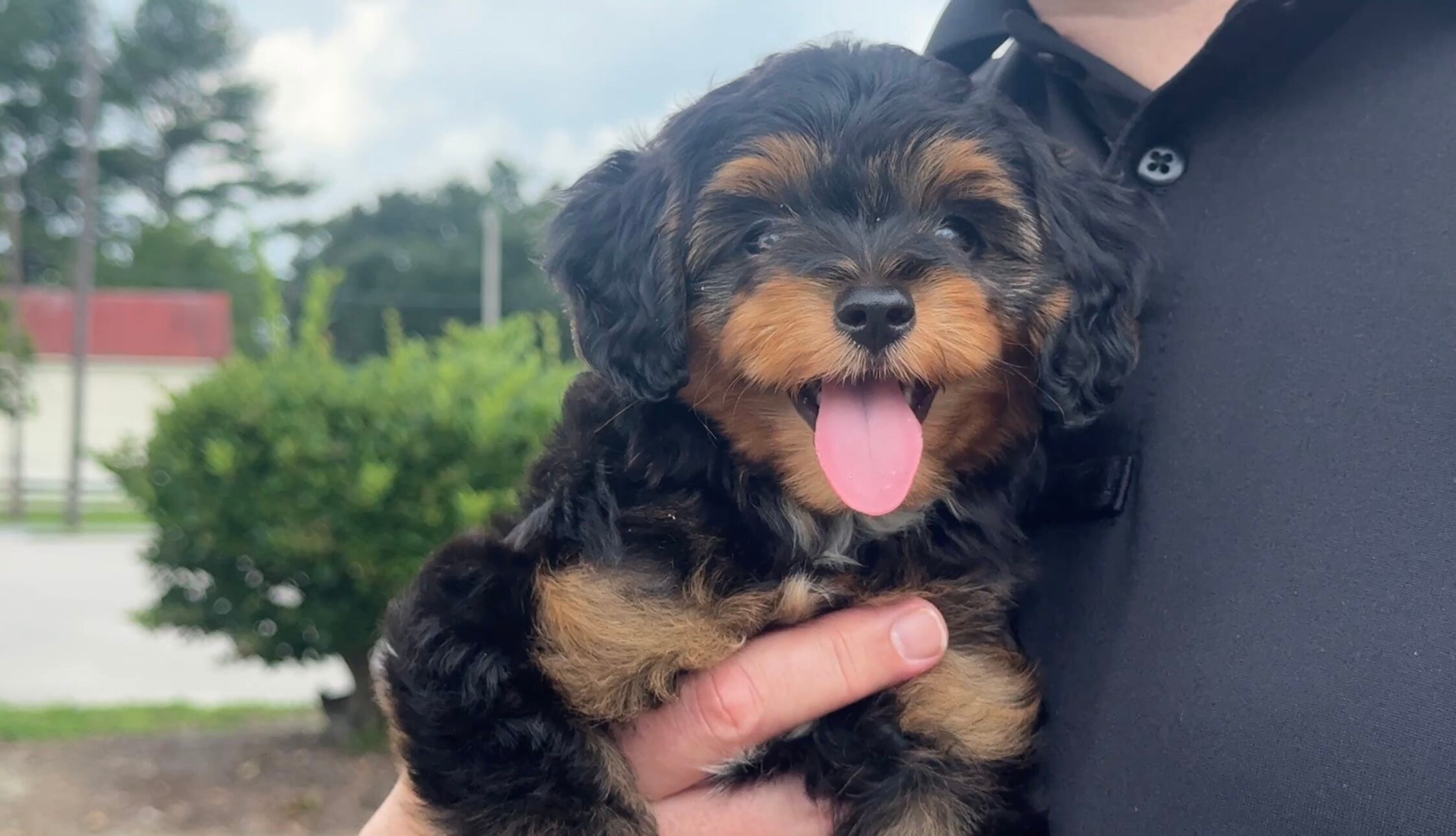 Kinston Police Department welcomes new therapy dog