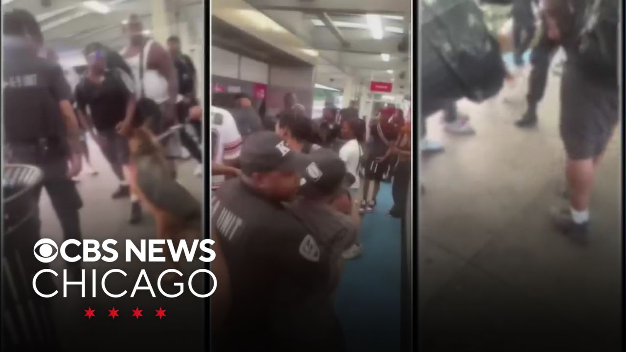 3 arrested in brawl with K9 security guards at Red Line station