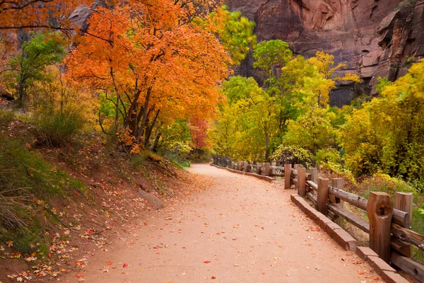 19 Best Hiking Trails in Utah’s Zion Canyon