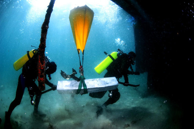 How A Green Beret Combat Diver Nearly Became Shark Food