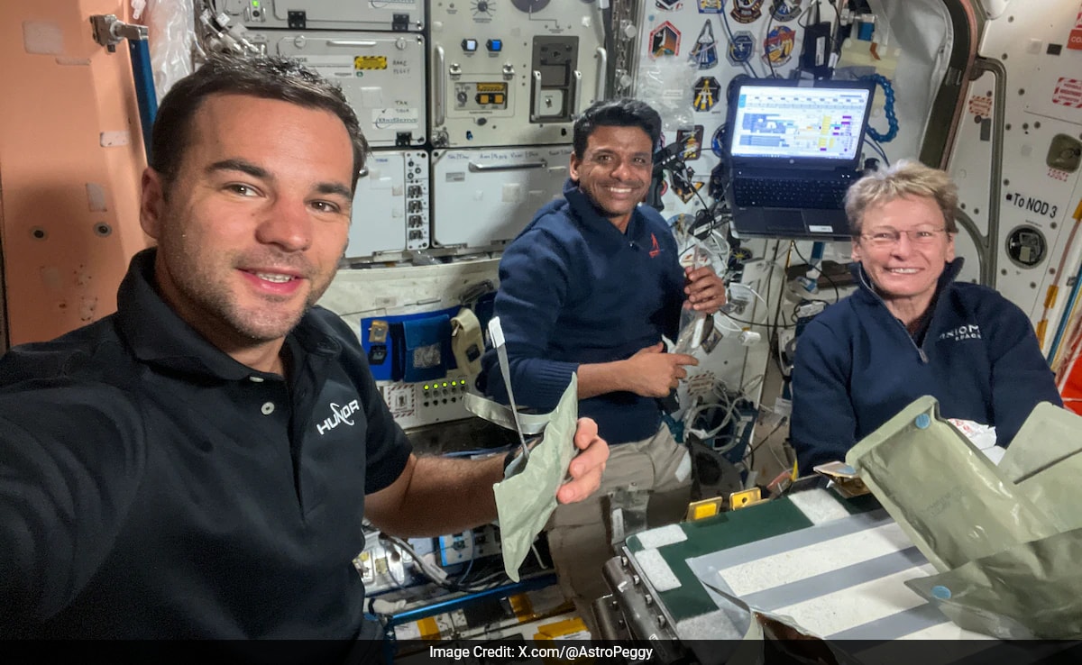 Astronaut Shubhanshu Shukla Set To Return: How Human Body Is Impacted ...