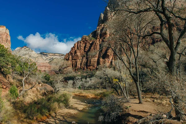 19 Best Hiking Trails in Utah’s Zion Canyon
