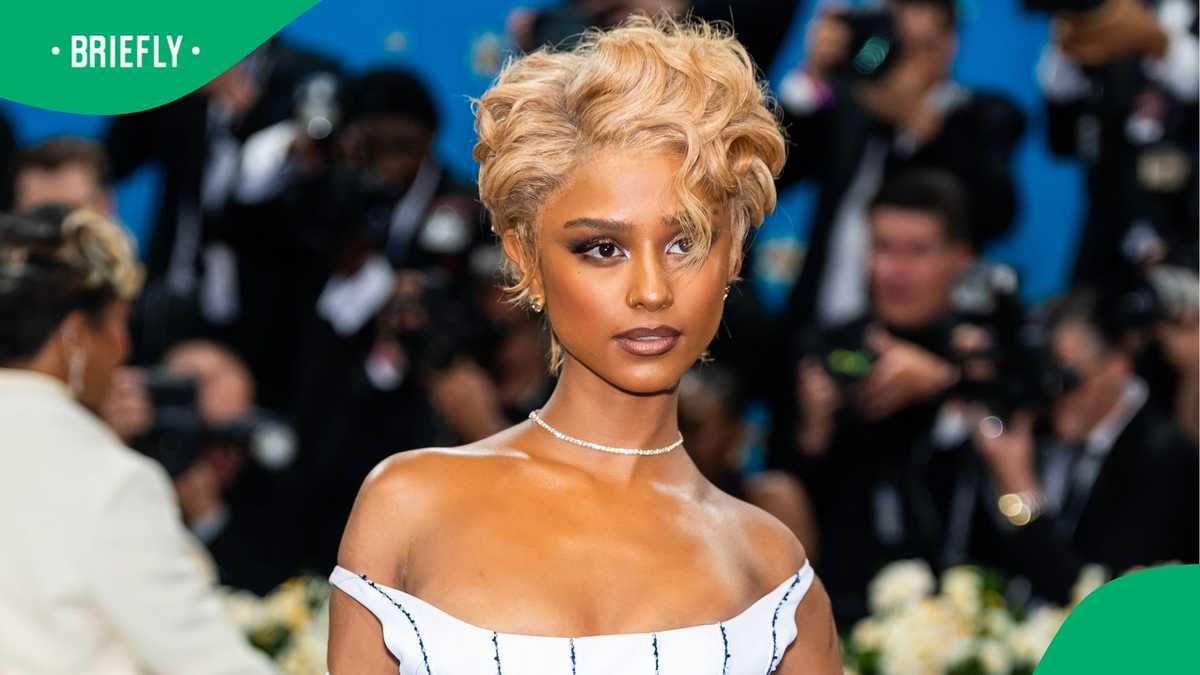What top brands has Tyla worked with?: Find out here