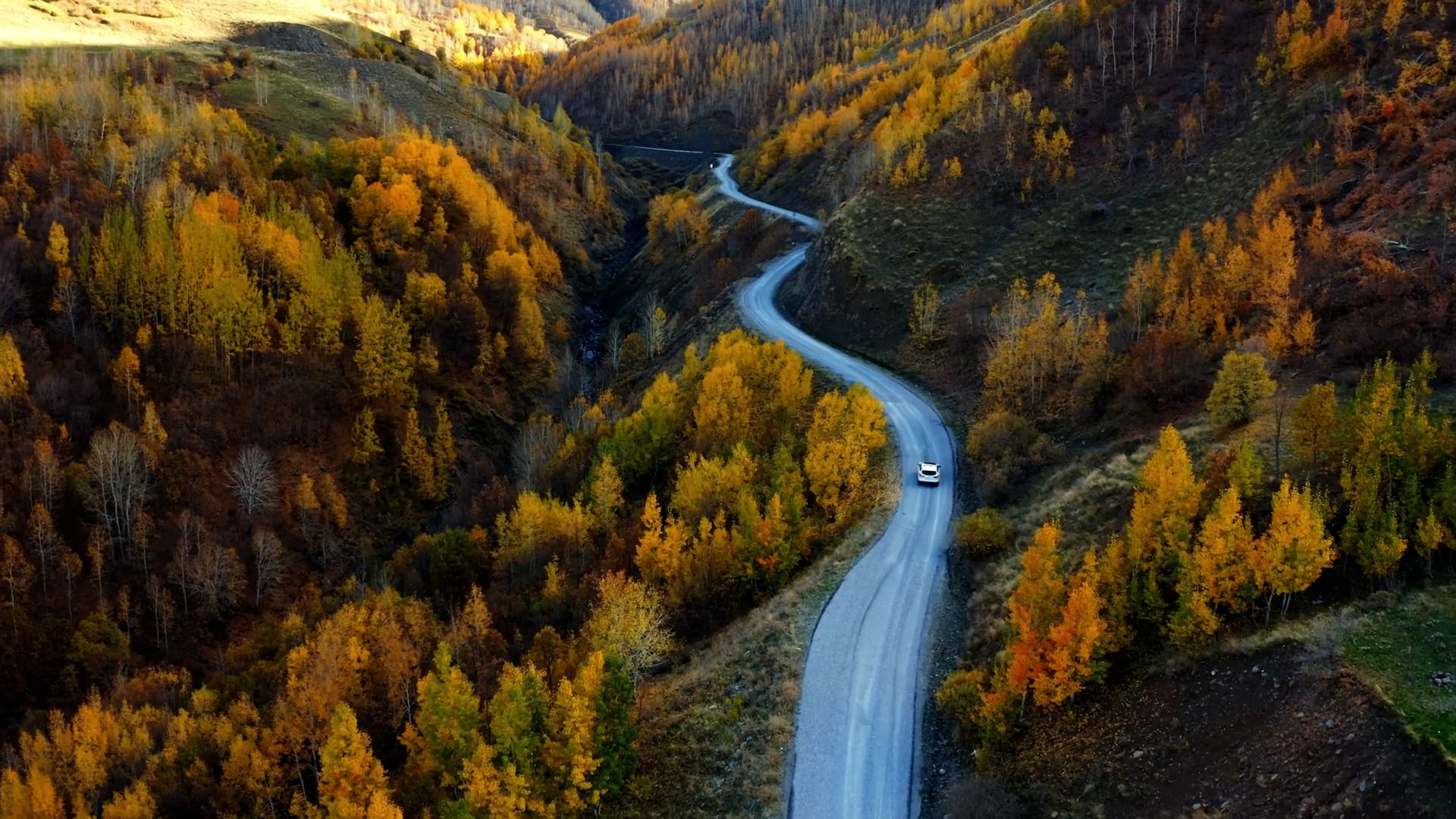 Autumn's Aerial Splendor: Drone Captures the Majesty of Fall - Worldwide