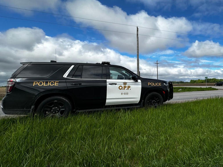 Police shaken by teen’s alleged violent sex attack on Ontario girl, 8