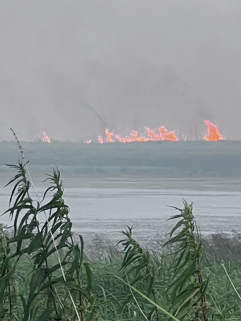 Muskeg wildfire prompts state of emergency in Patuanak