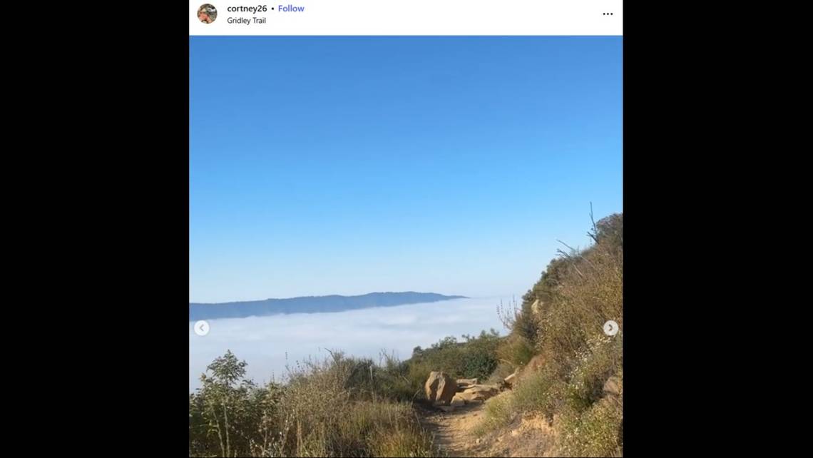 Apex predator startles lone hiker on California trail. See the scary ...