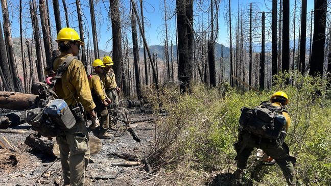 U.S. Forest Service details firefighting tactics while tackling peak ...