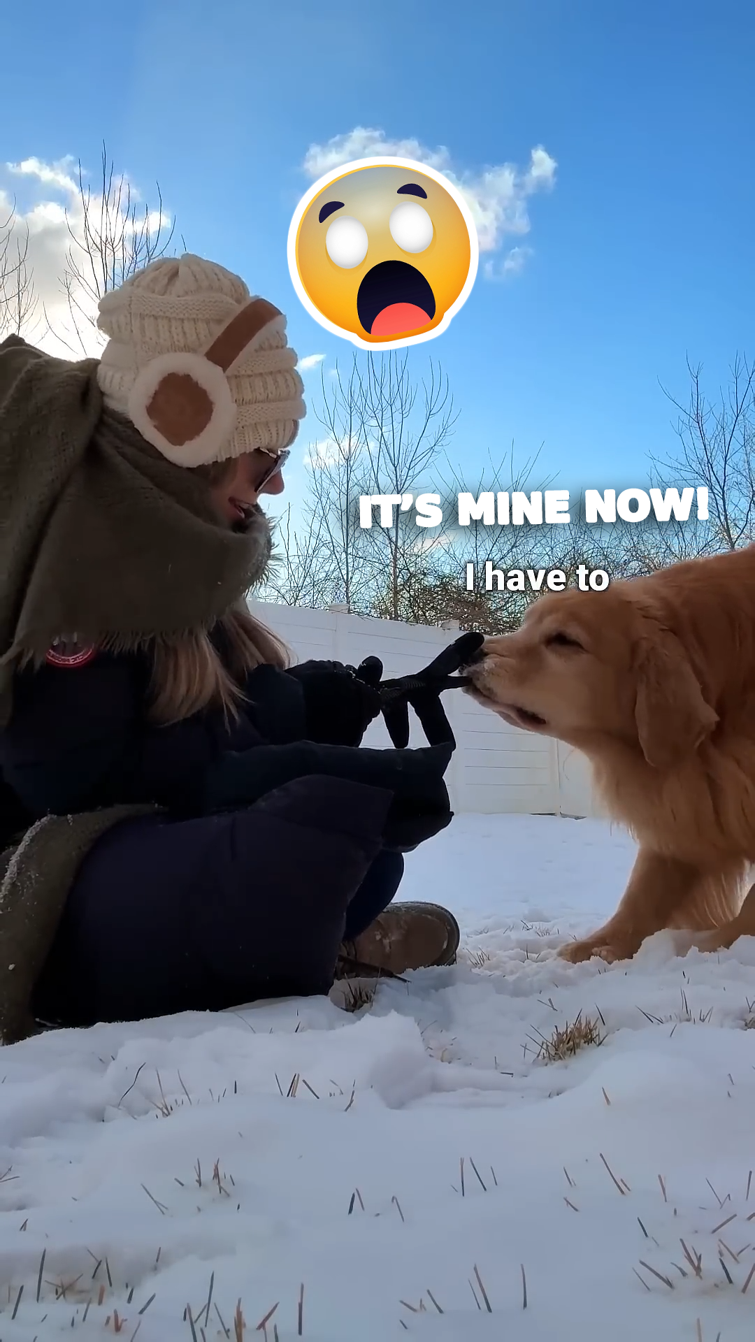 No Gloves Are Safe Around This Golden 🧤😂