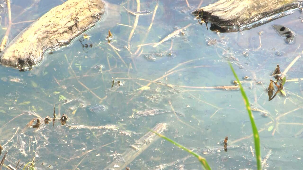 Potential illegal oil dumping in North Charleston sparks resident concern