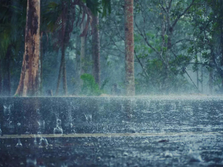 Kolkata weather: Humid and rainy day with rain expected