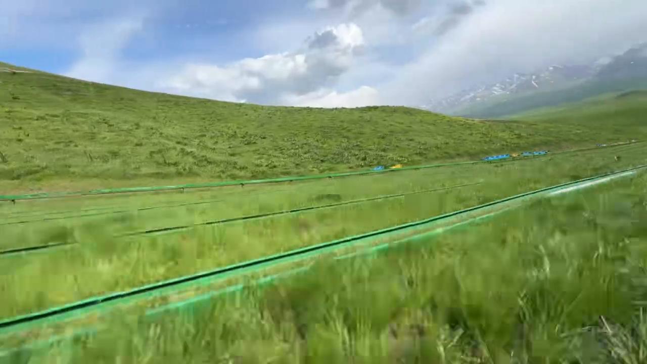 First-Person Experience of Grass Sledding