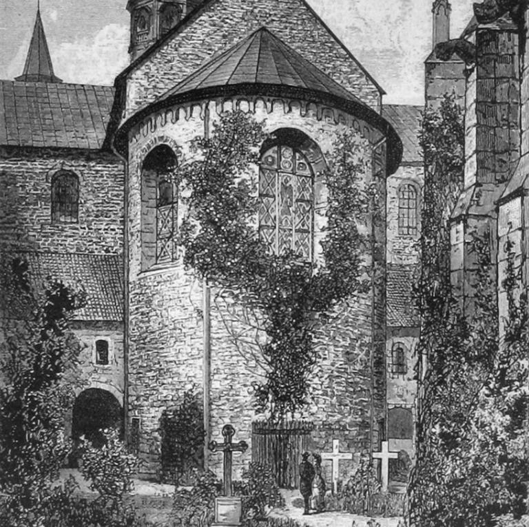 Il più antico cespuglio di rose del pianeta? Ha mille anni e si trova ...