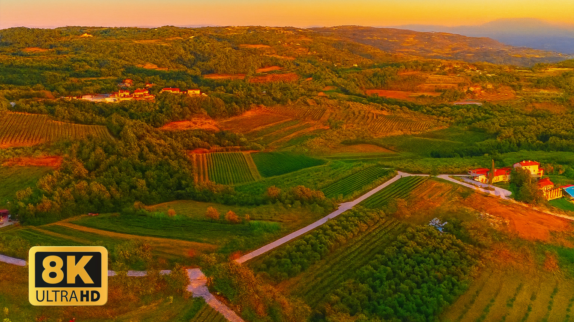 High-Fidelity 12K HDR at 240FPS – Dolby Vision™ ULTRA HD Test for 4K ...