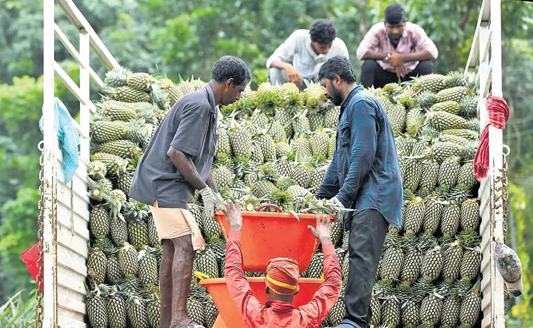 Trader bounces back from debt to build pan-India network in Kerala’s ...