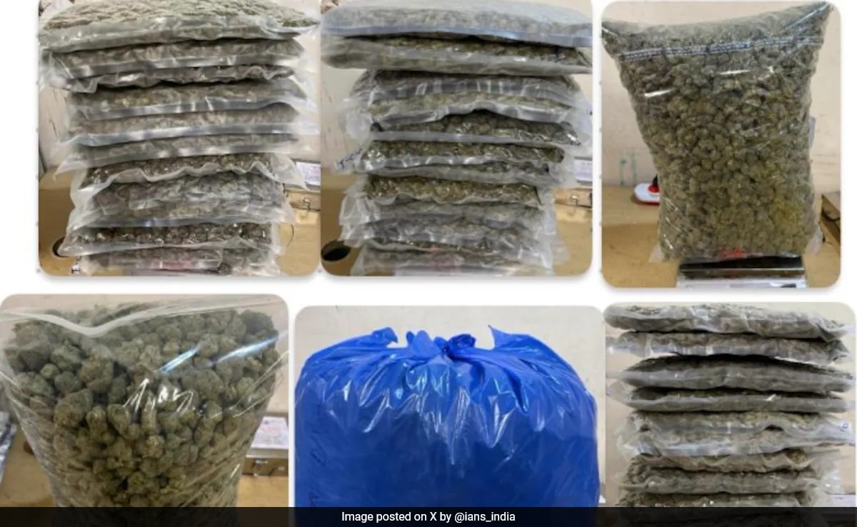 Hydroponic Weed Worth Rs 33.35 Crore Seized At Mumbai Airport, 8 Arrested