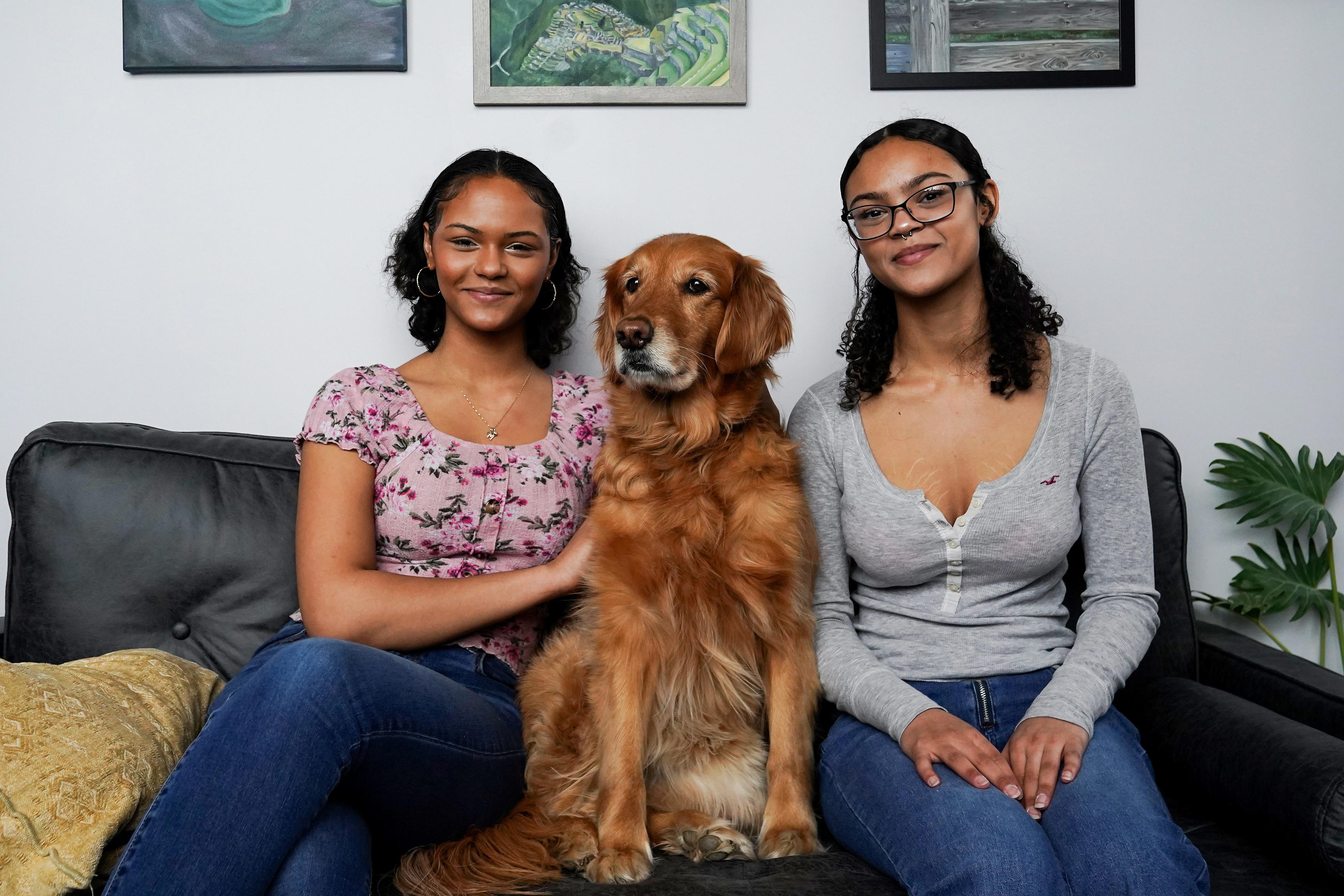 Therapy is hard. Dogs can help