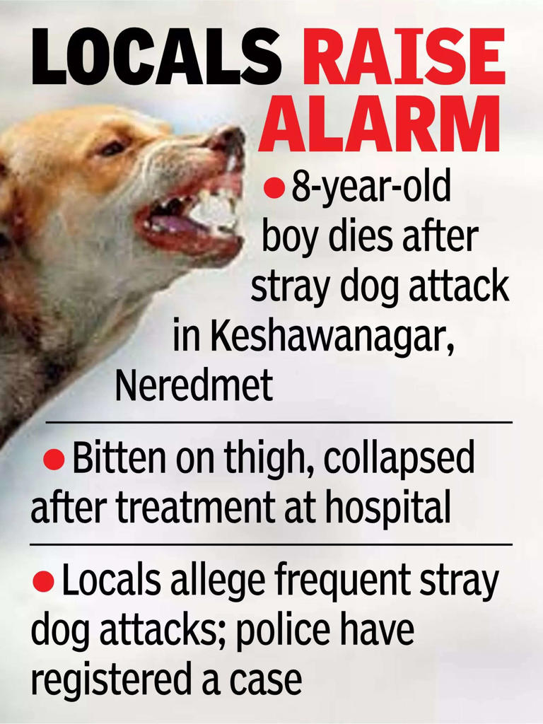 8-year-old dies after pack of stray dogs attack in Hyderabad's Neredmet ...