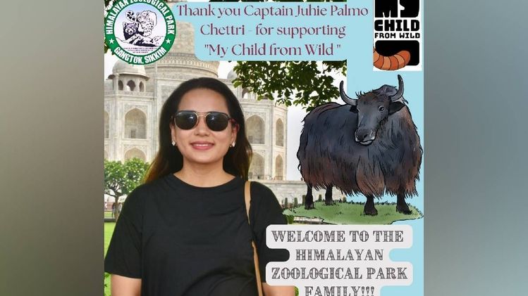 Sikkim's first commercial lady pilot adopts Yak ‘Abo' under wildlife ...