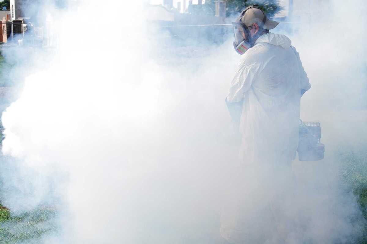 Sube a 12 las defunciones en estudio por probable dengue en Nuevo León