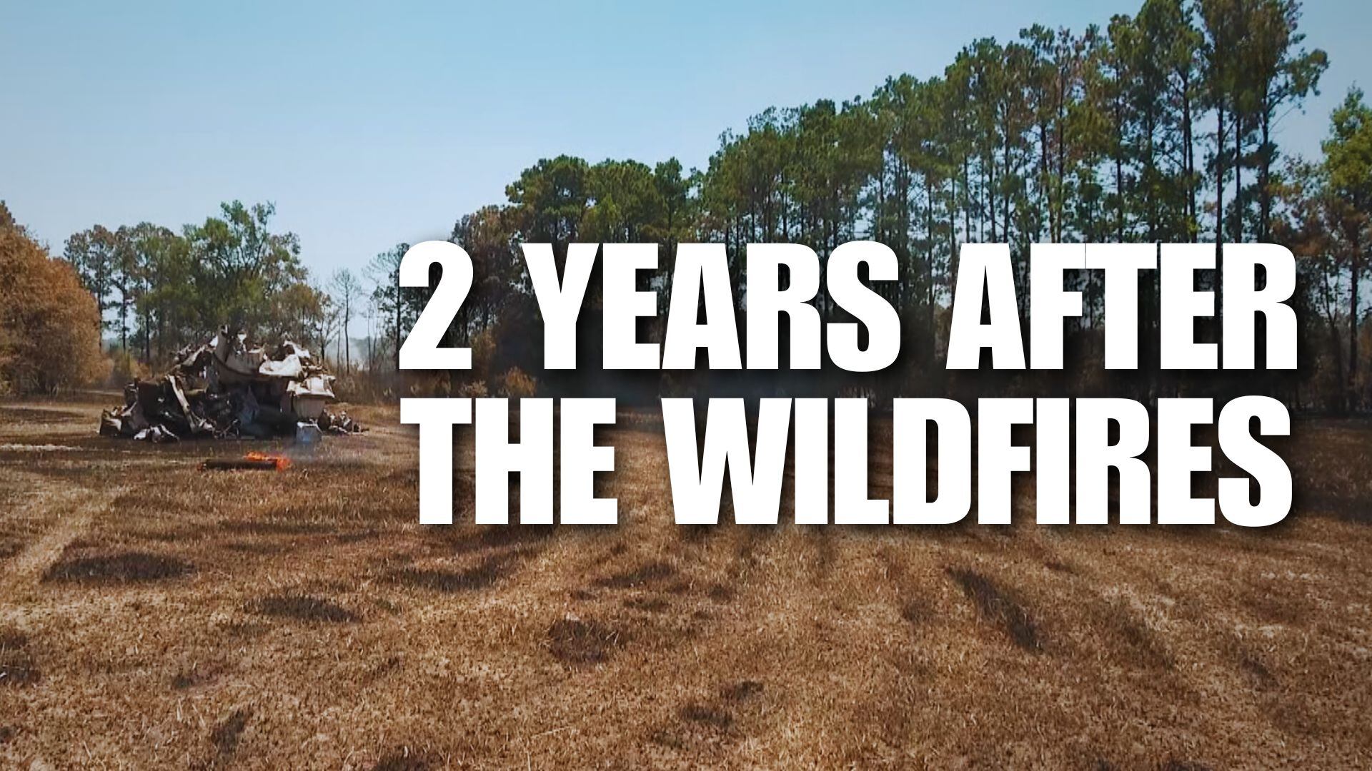 A look at Louisiana’s timber industry 2 years after wildfires