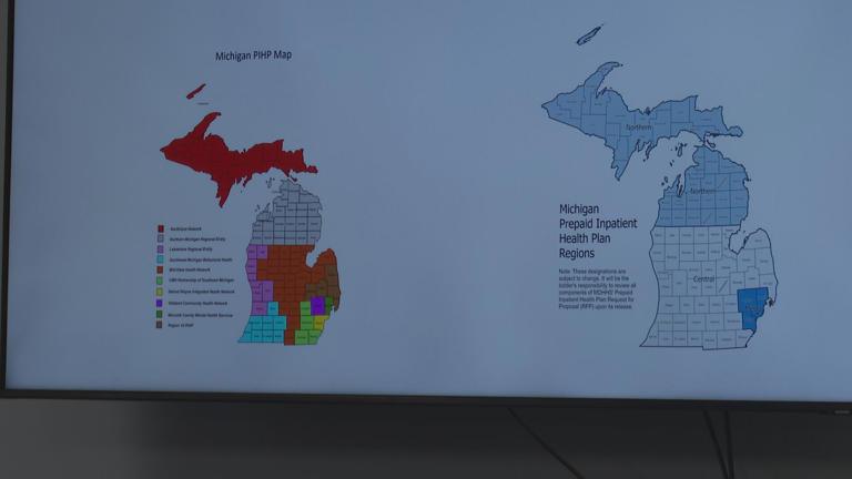Michigan public mental health care system to see funding change