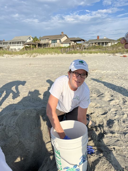 ‘A real privilege’: South Carolina group moves largest loggerhead ...